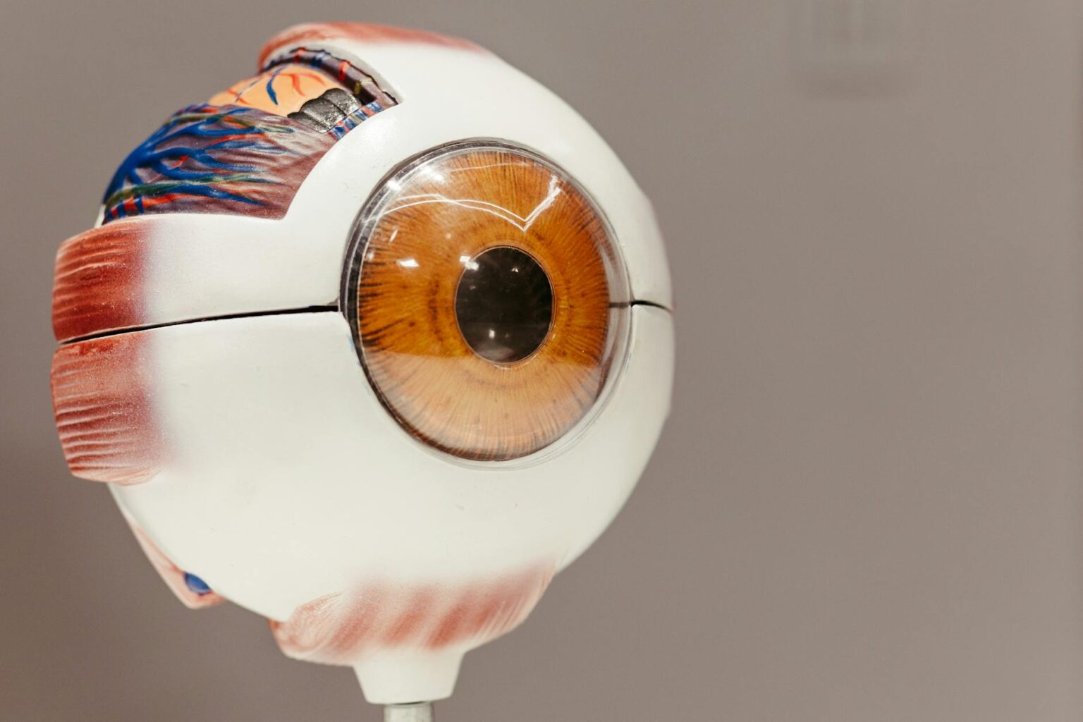 Sclerology Level I for IIPA Certification (April 18th – June 20th, 2026)